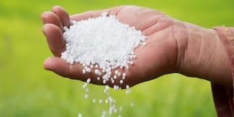 Australian Agribusiness News | Grain Central