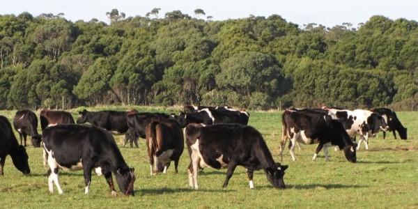 Property News - Grain Central