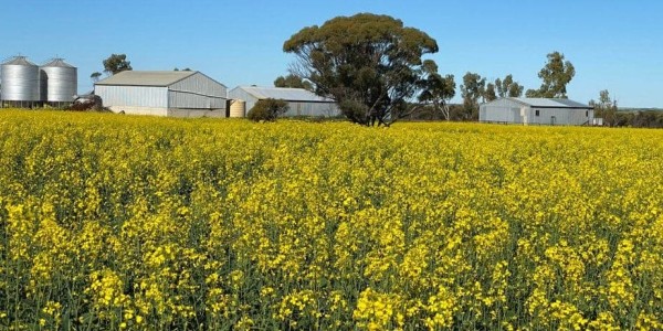 Property News - Grain Central