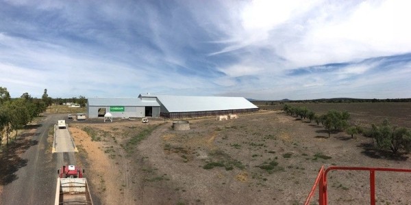 Cropping News - Grain Central