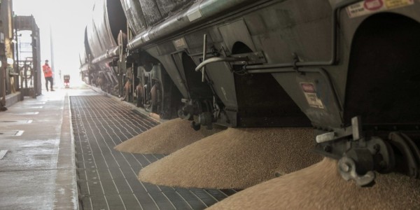 Grain Markets & Marketing News - Grain Central
