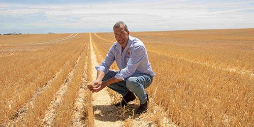 Cropping News - Grain Central