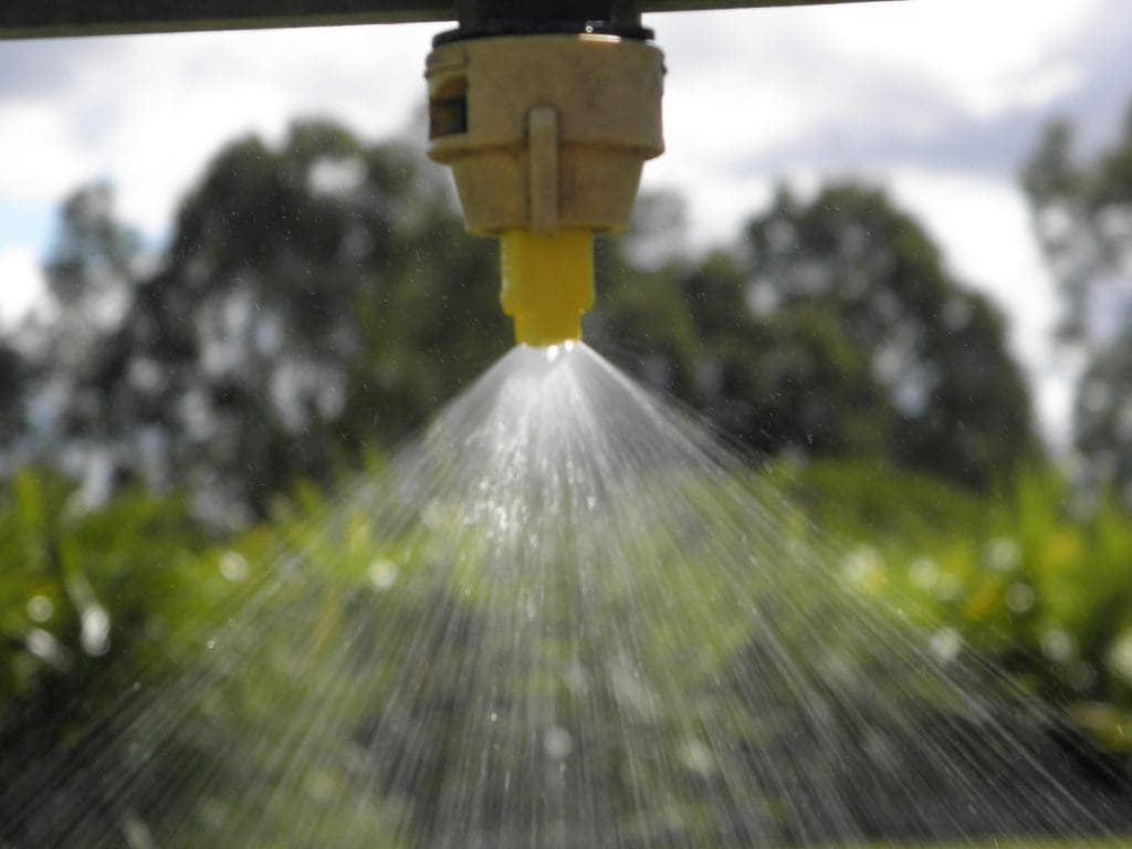Cotton season well underway, growers call for action to prevent spray ...