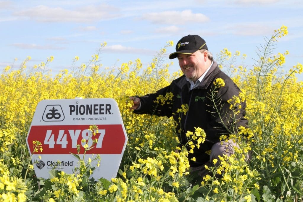 Hybrid canola out-competes weeds - Grain Central