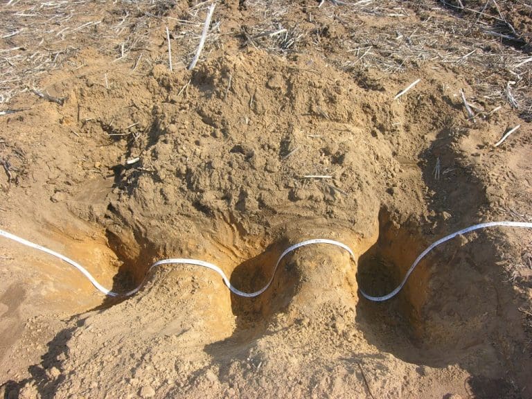 Dry down before deep ripping - Grain Central