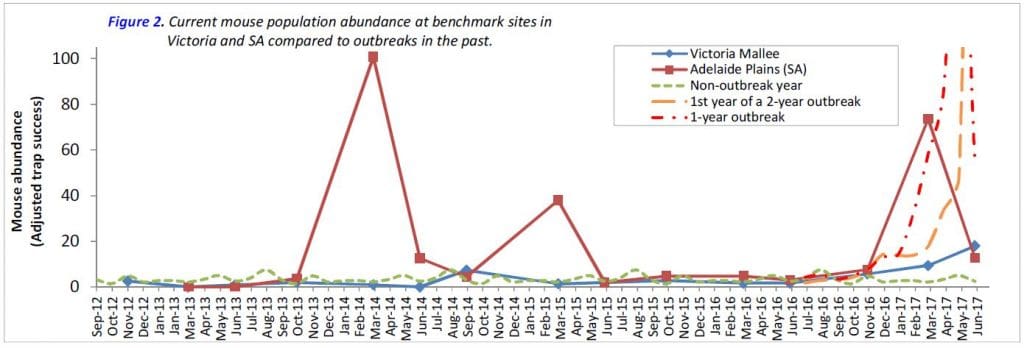 Mice pose moderate threat to crops in south-eastern Australia - Grain ...