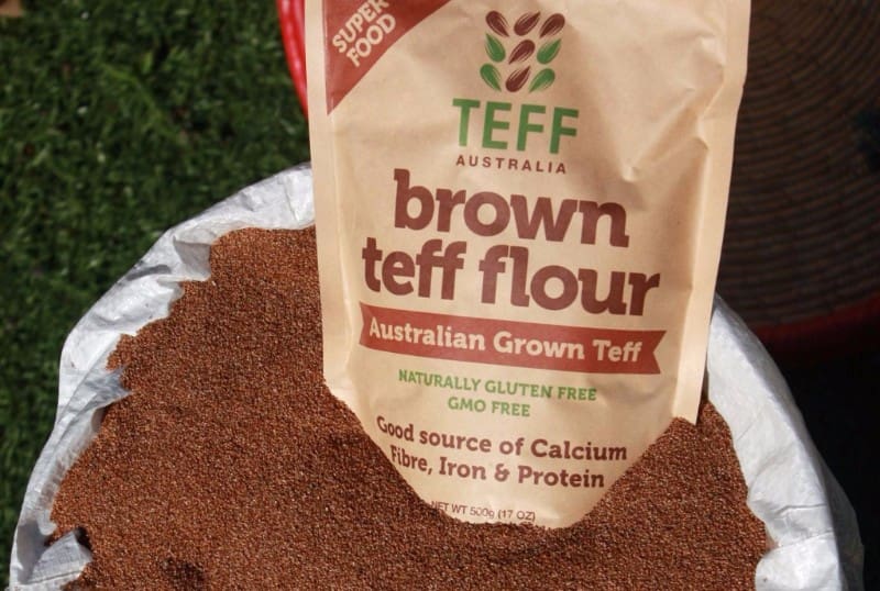 Teff canters into gluten-free, hay markets - Grain Central