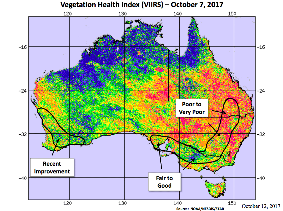 Russia's record wheat crop boosts world wheat ending stock forecast ...
