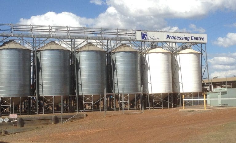 Blue Ribbon Group in liquidation following Bean Growers’ application ...