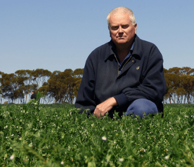 Lentils still a good choice for growers - Grain Central