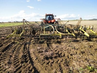 Is one-time tillage a viable weed control option in a no-till farming ...