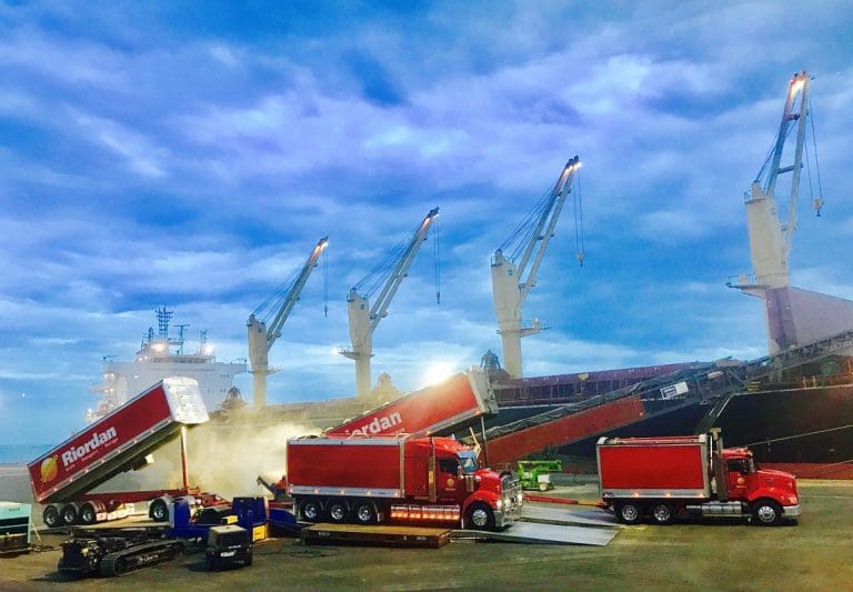 Mobile ship loaders bulk up southeast’s grain exports - Grain Central