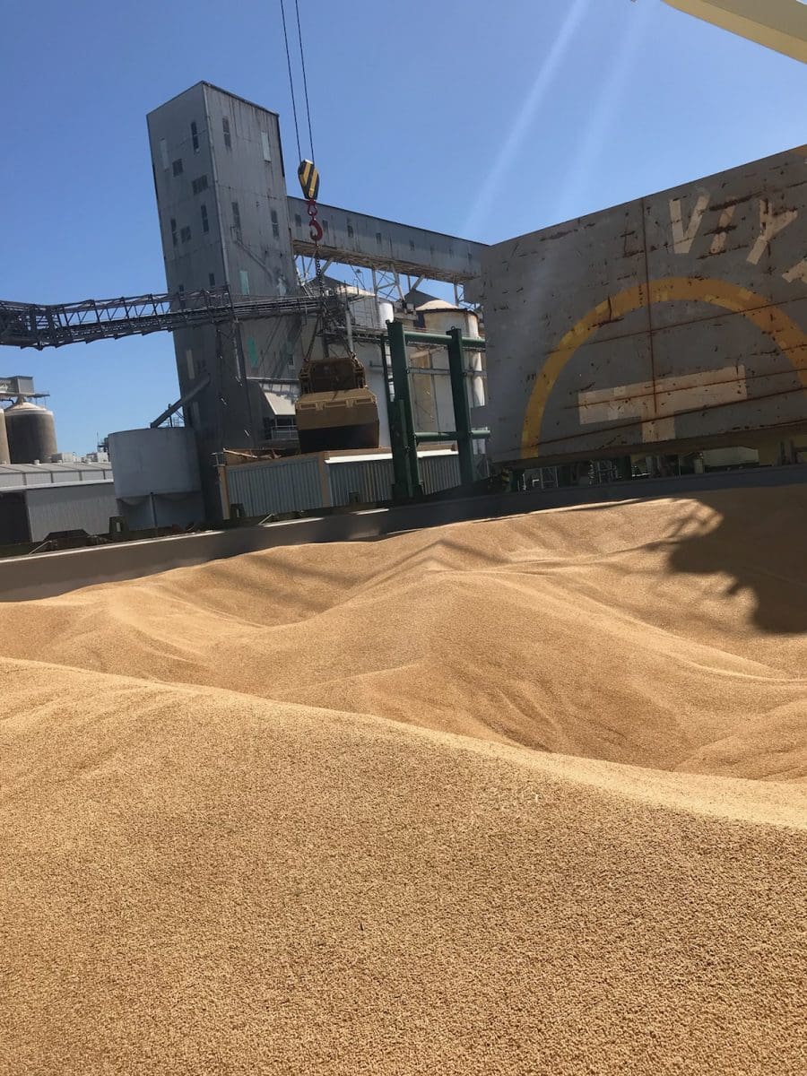 BCM feeds southern grain into drought-hit Queensland - Grain Central