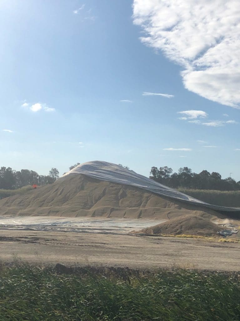 Feedgrain focus: Dry in NSW drains stored reserves - Grain Central