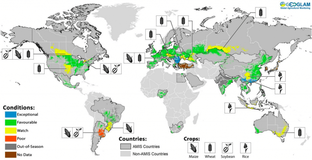 Shaky patches for world wheat: AMIS - Grain Central