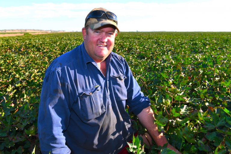 Cotton and rice rotation working for Griffith enterprise + VIDEO ...