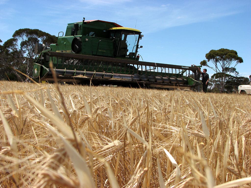 Barley Among Key Drivers Of 1 8 Per Cent Rise In Commodities Index NAB Barley Among Key Drivers Of 1 8 Per Cent Rise In Commodities Index NAB