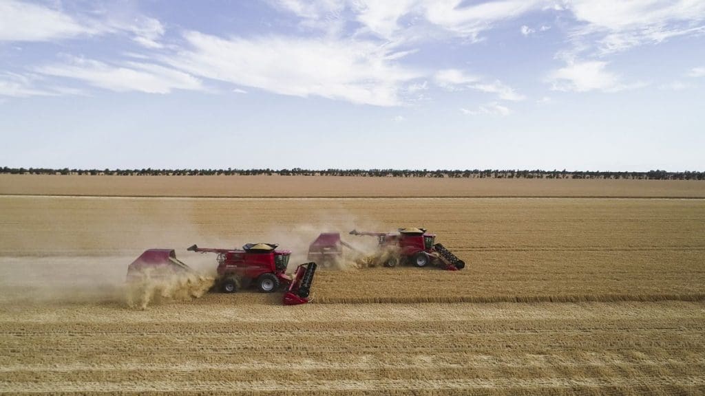 Feedgrain Focus: Outlook for less grain from Victoria kicks market ...
