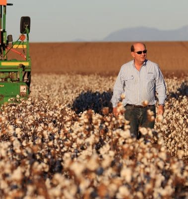 Finney's legacy of vision and support for a transformed cotton industry ...