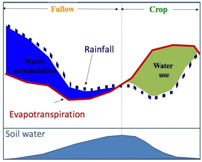 How much water have I stored since the last crop? - Grain Central