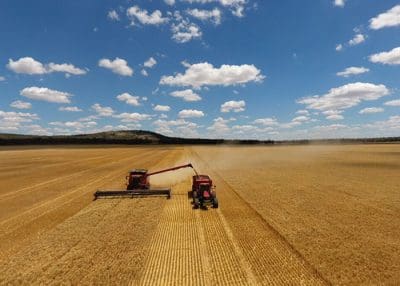 ‘Tramline’ farming yet to reach full potential - Grain Central