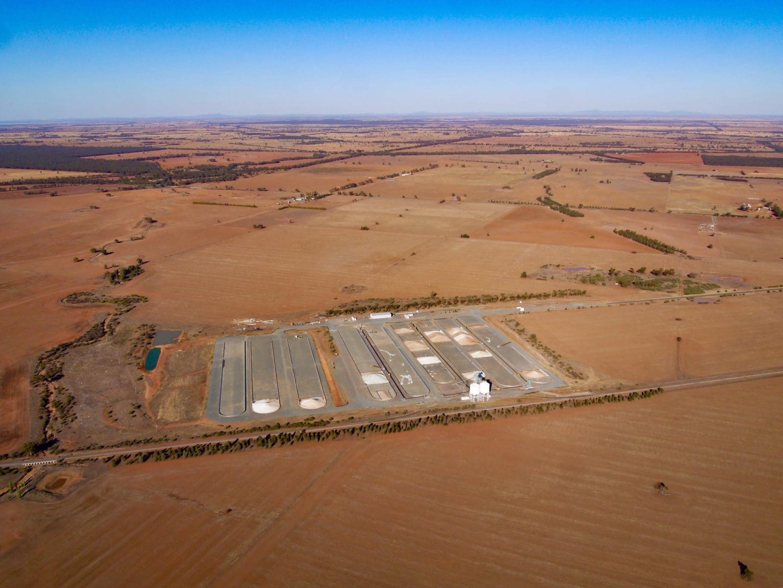 Feedgrain Focus: Sorghum withers as WA grain feeds five ports - Grain ...