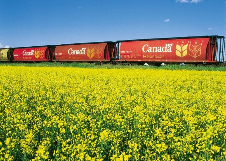 Big changes in crop types being planted in Canada - Grain Central