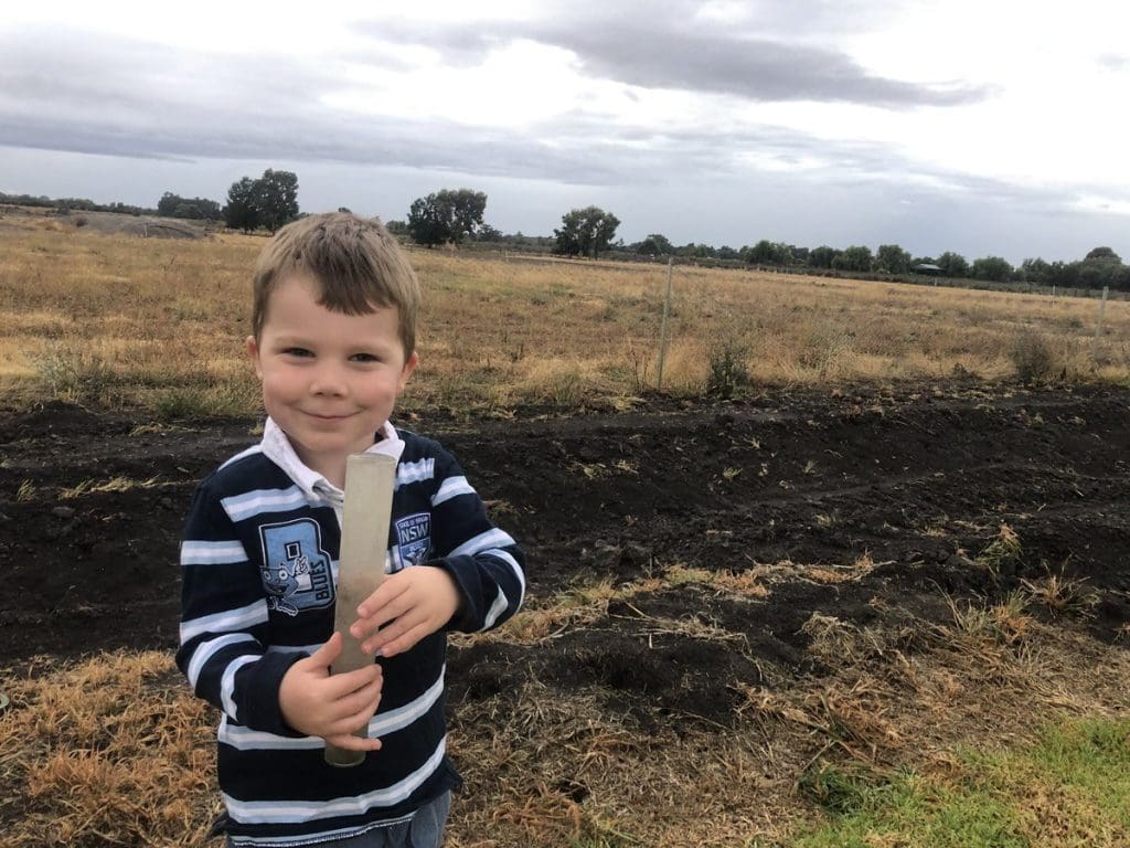 Feedgrain Focus: New-crop prices tumble on forecast rain - Grain Central