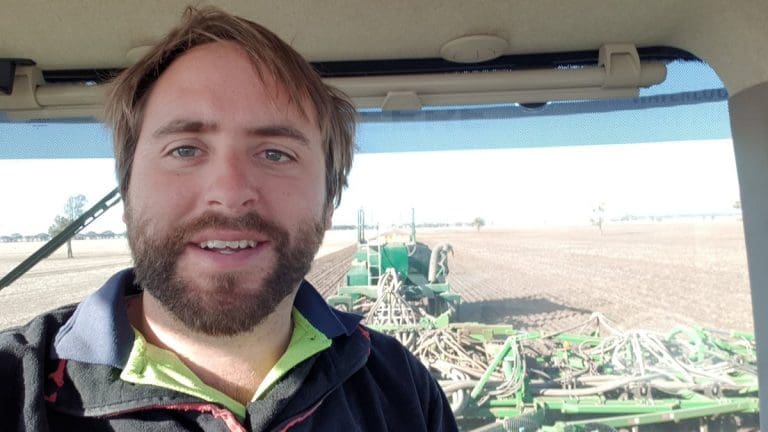 Feedgrain Focus: New-crop prospects colour cash markets - Grain Central