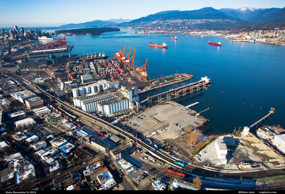 Sixth vessel booked, new-crop wheat imports tipped at 400,000t - Grain ...