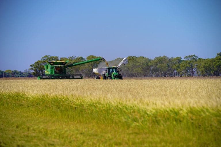Riverina rice harvest wraps up with small crop, strong yields + VIDEO ...