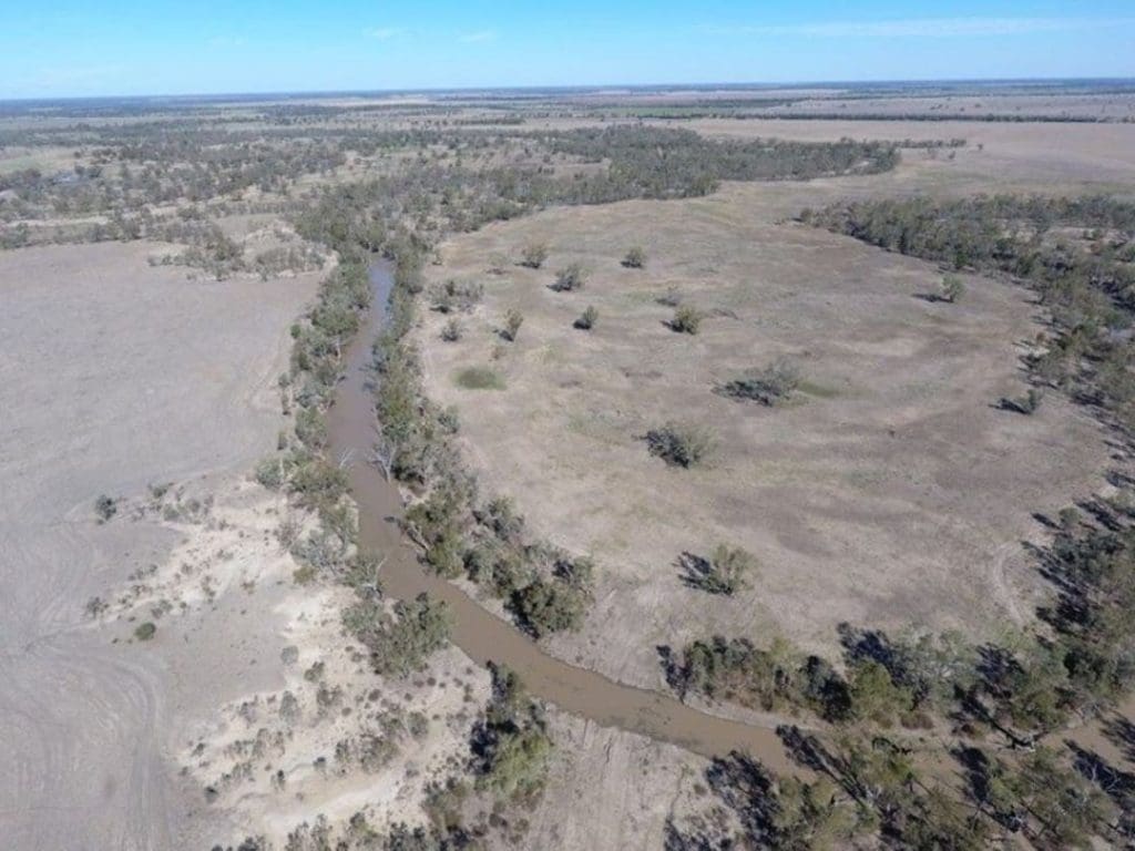 Farmers kick along NSW-Queensland border property sales - Grain Central