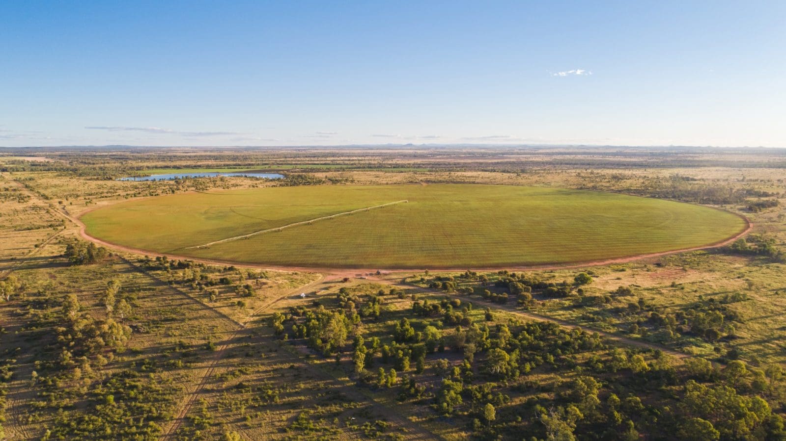 Well-watered Mitchell Park offers CQ opportunity - Grain Central
