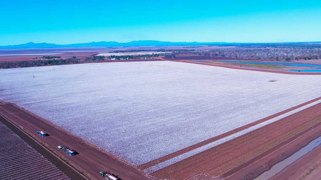 Namoi Valley’s Wire Lagoon sells for $11.375 million - Grain Central
