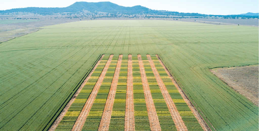Model puts AMPS at forefront of production research - Grain Central
