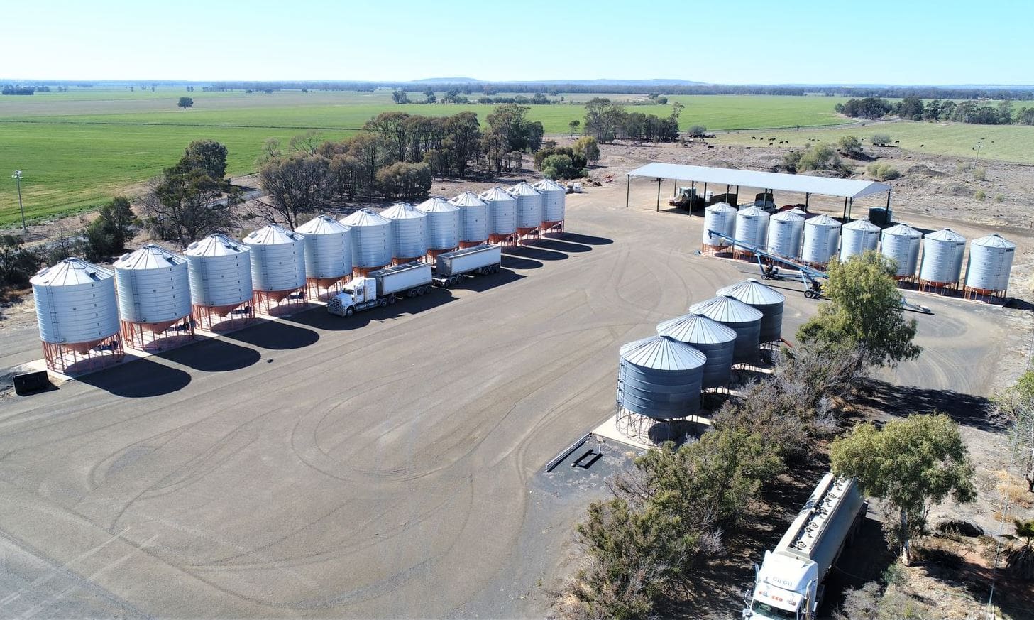 Prospect Downs sells, Noble Park lists in Moree market - Grain Central