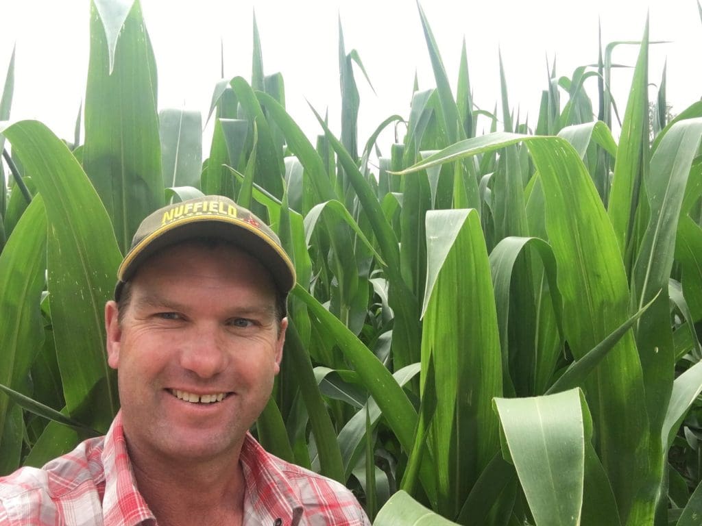 Improving soil health with manure and cover crops: Nuffield - Grain Central