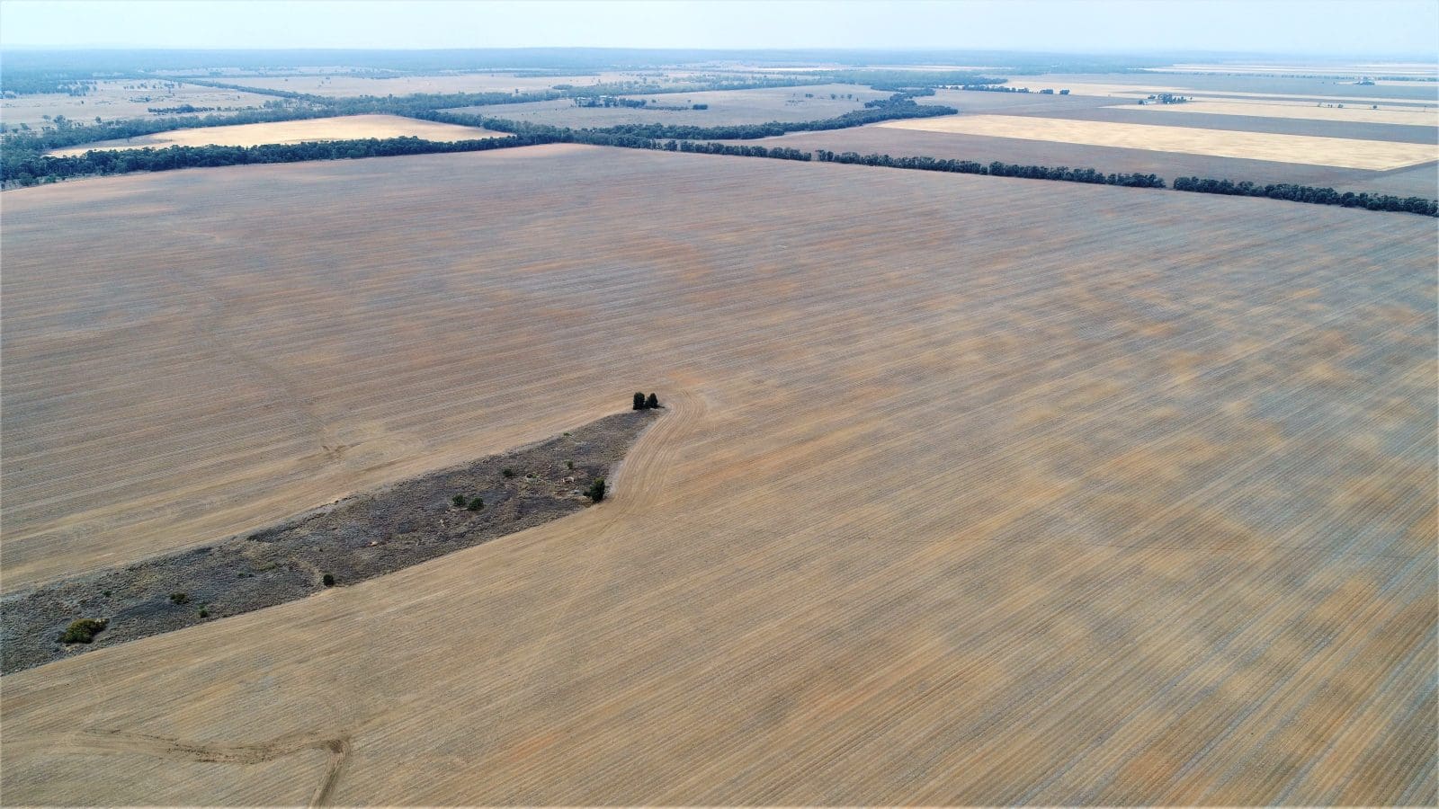Jandowae listings point to One Tree Ag downsizing on Downs - Grain Central