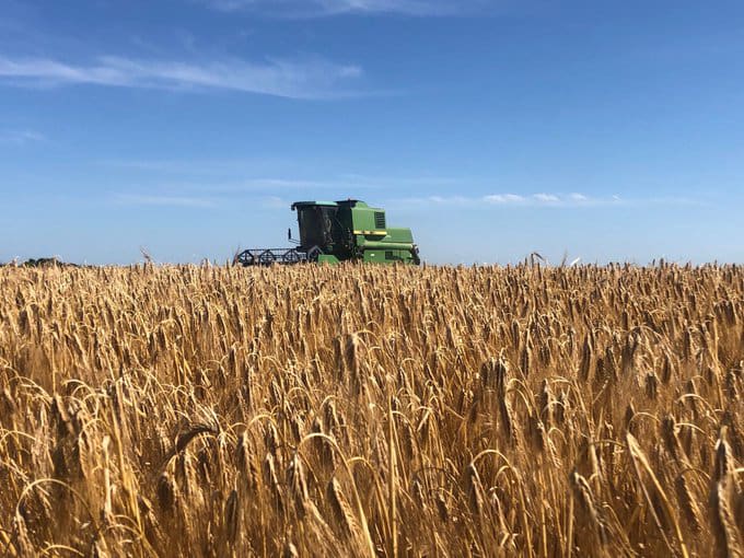 Global markets seek direction after benign WASDE - Grain Central