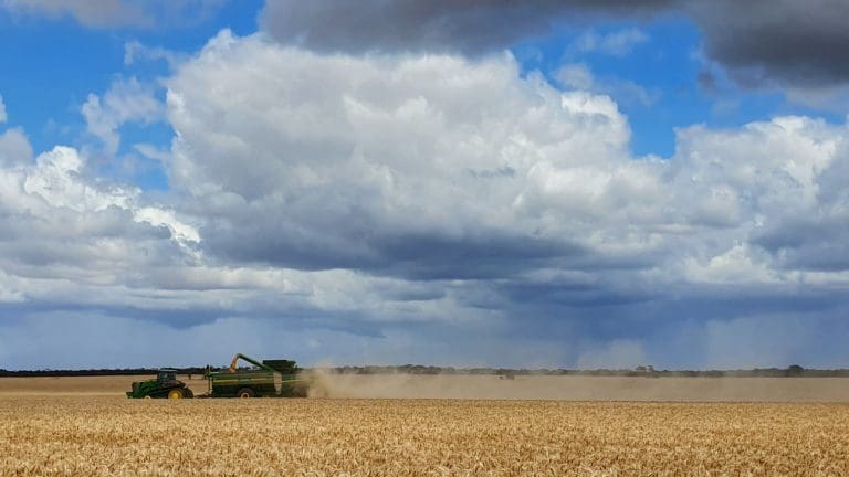 Tariff talk stalls Australian barley sales to China - Grain Central