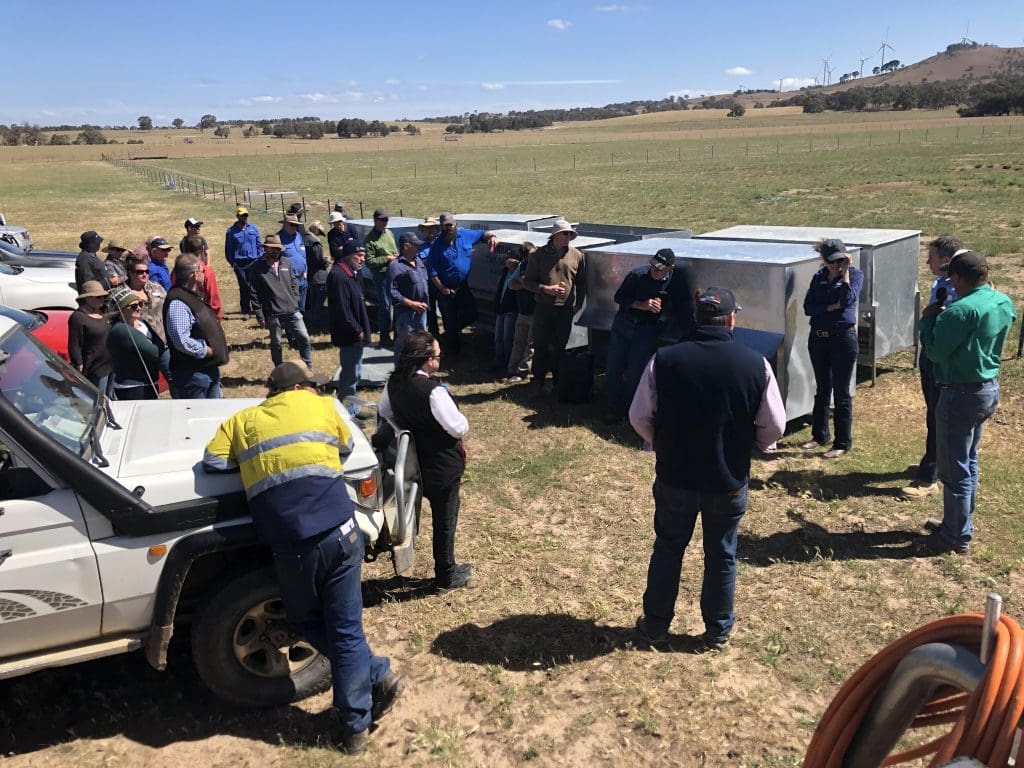 Sheep confinement pens, lot-feeding gain traction in drought - Grain ...