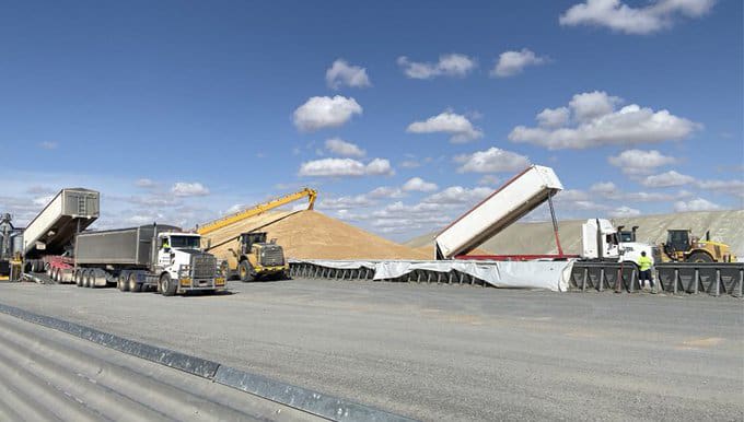 SA harvest intake hits 2.3Mt: Viterra - Grain Central