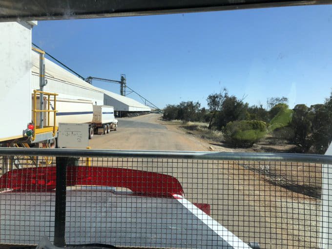 WA harvest intake more than doubles to 1.48Mt: CBH - Grain Central