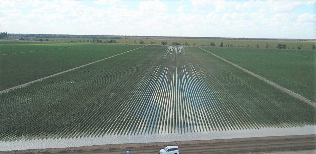 Bankless, siphonless irrigation makes every drop count - Grain Central