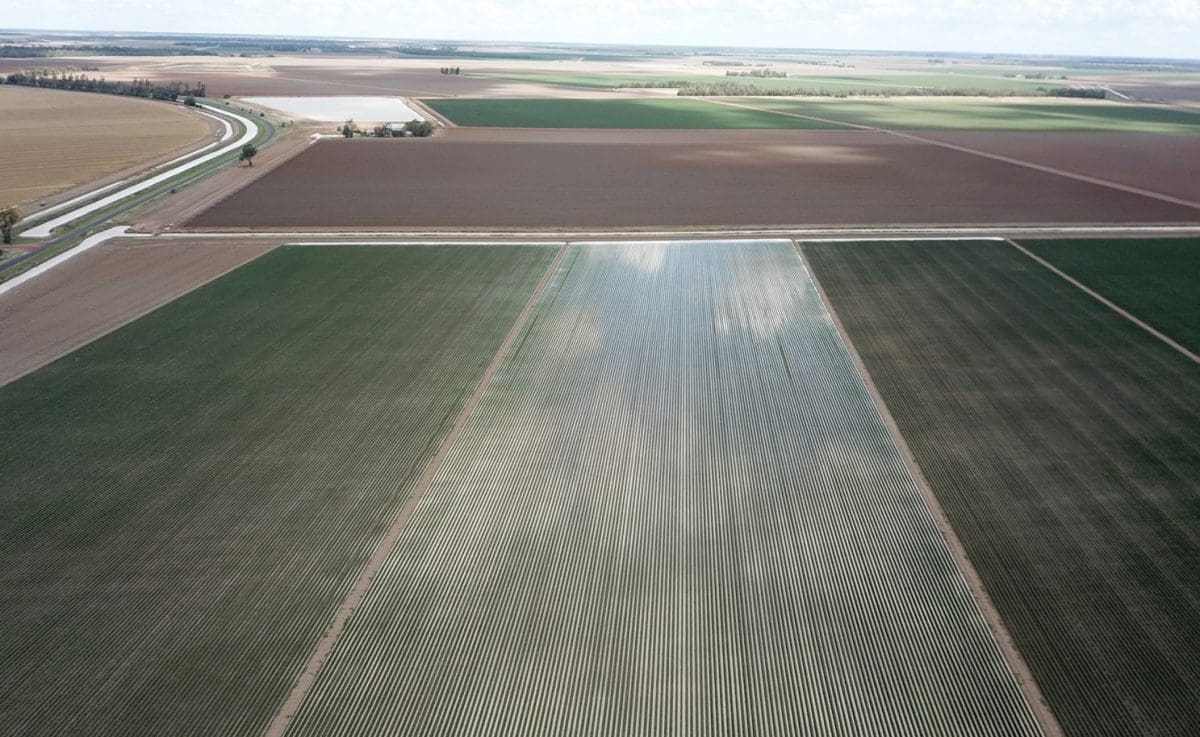 Bankless, siphonless irrigation makes every drop count - Grain Central