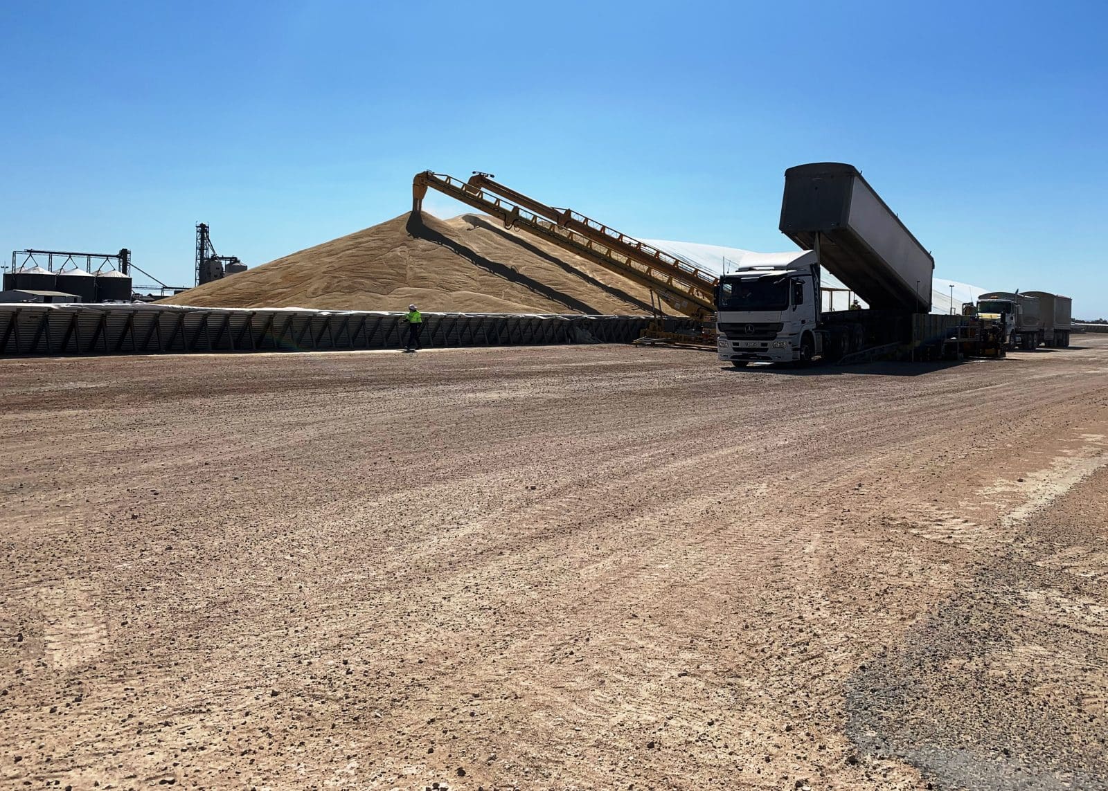 South Australian grain handler intake passes 2.9Mt: Viterra - Grain Central