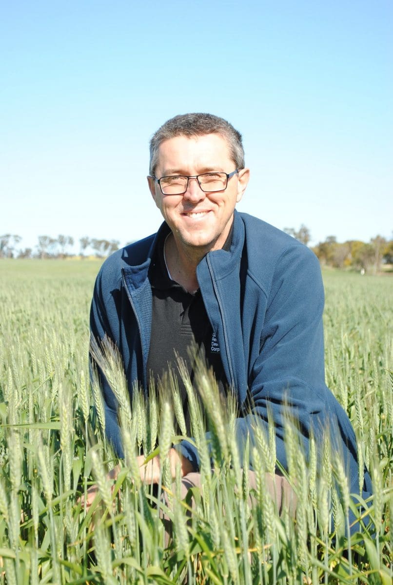 Hail destroys CSIRO glass houses, sets back vital crop research - Grain ...
