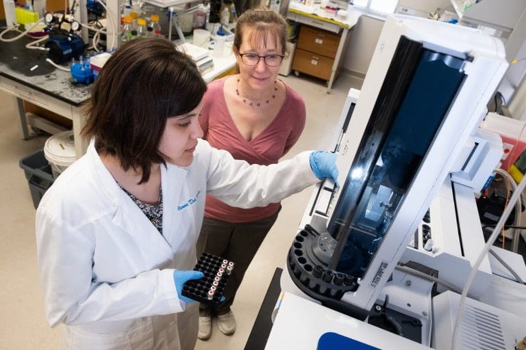 Plants 'order in' nutrients to meet their needs - Grain Central