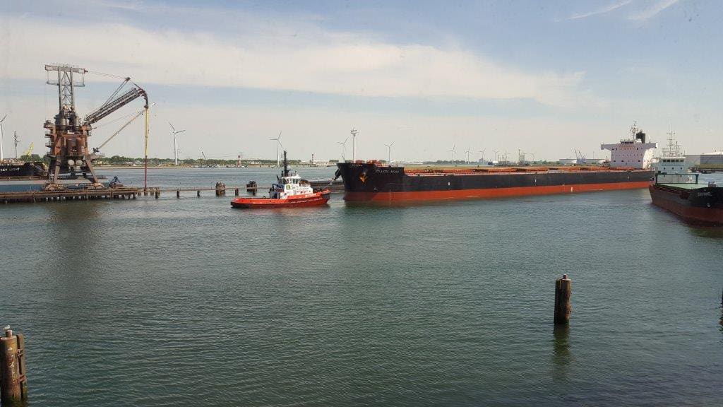Nov canola exports jump as new-crop shipments start - Grain Central