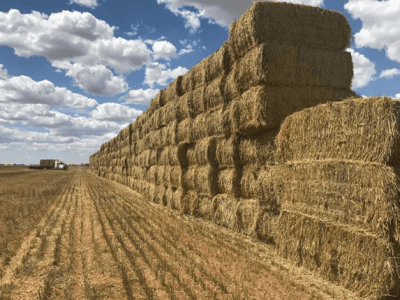 Haystacking guidelines help reduce accident risk - Grain Central